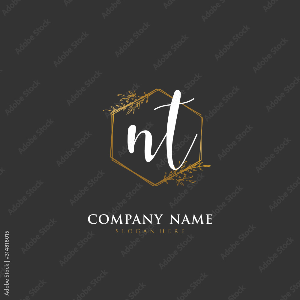 Handwritten initial letter N T NT for identity and logo. Vector logo ...