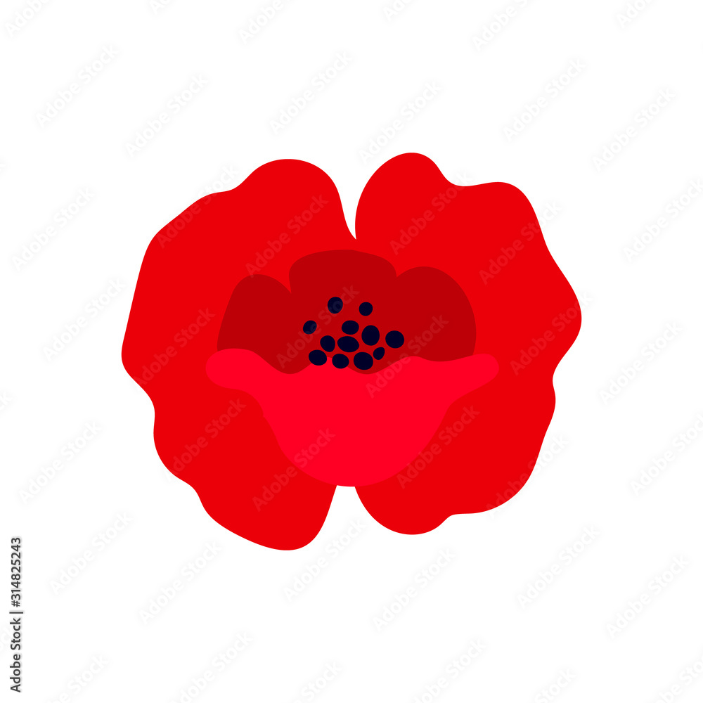 Vector illustration of a bright red poppy flower isolated on white ...