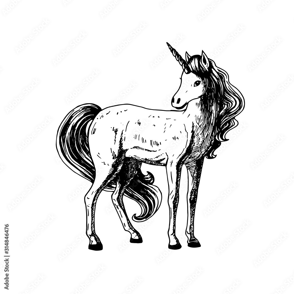 Hand drawn unicorn. Vector black white sketch. Stock Vector | Adobe Stock