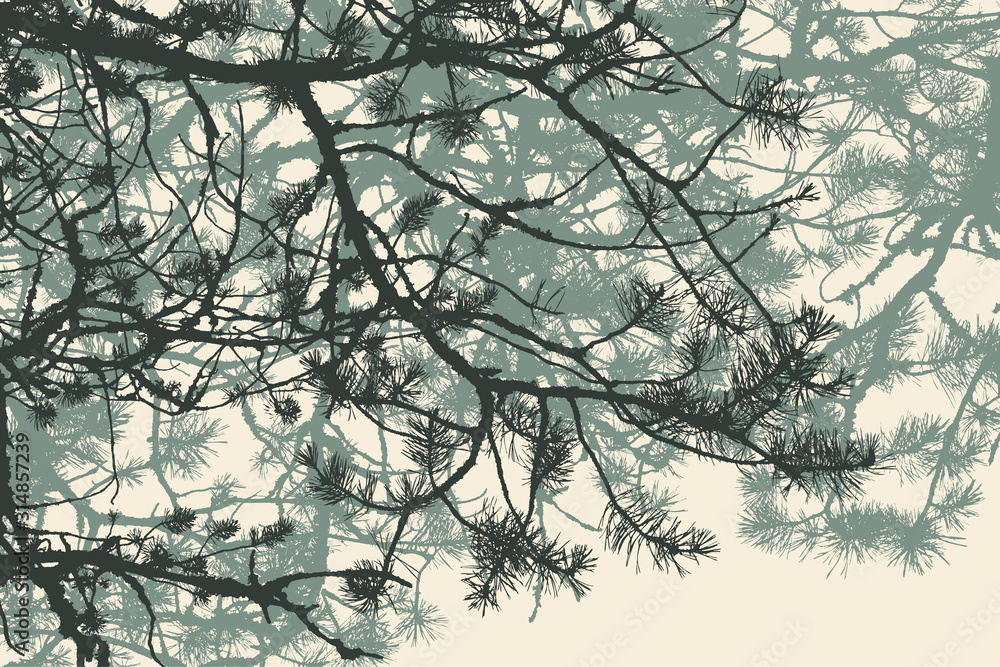 pine tree and branches silhouette. detailed vector illustration Stock ...