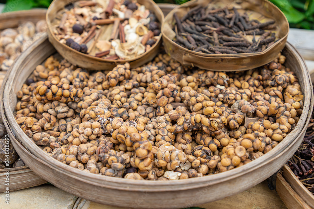 Foto de Tray of civet cat poo containing digested coffee beans. Once ...