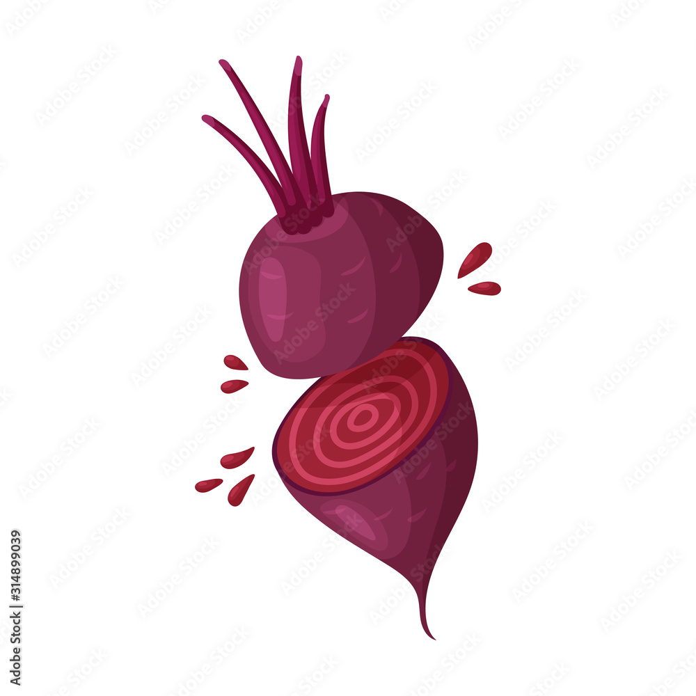 Beet vector icon.Cartoon vector icon isolated on white background beet ...