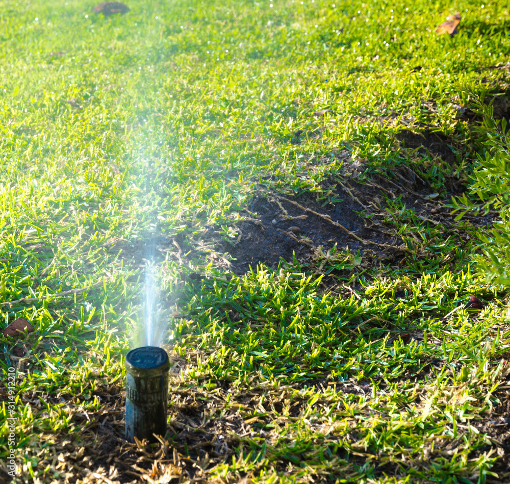 Lawn Watering in the park or garden, beautiful mowed green grass in the ...