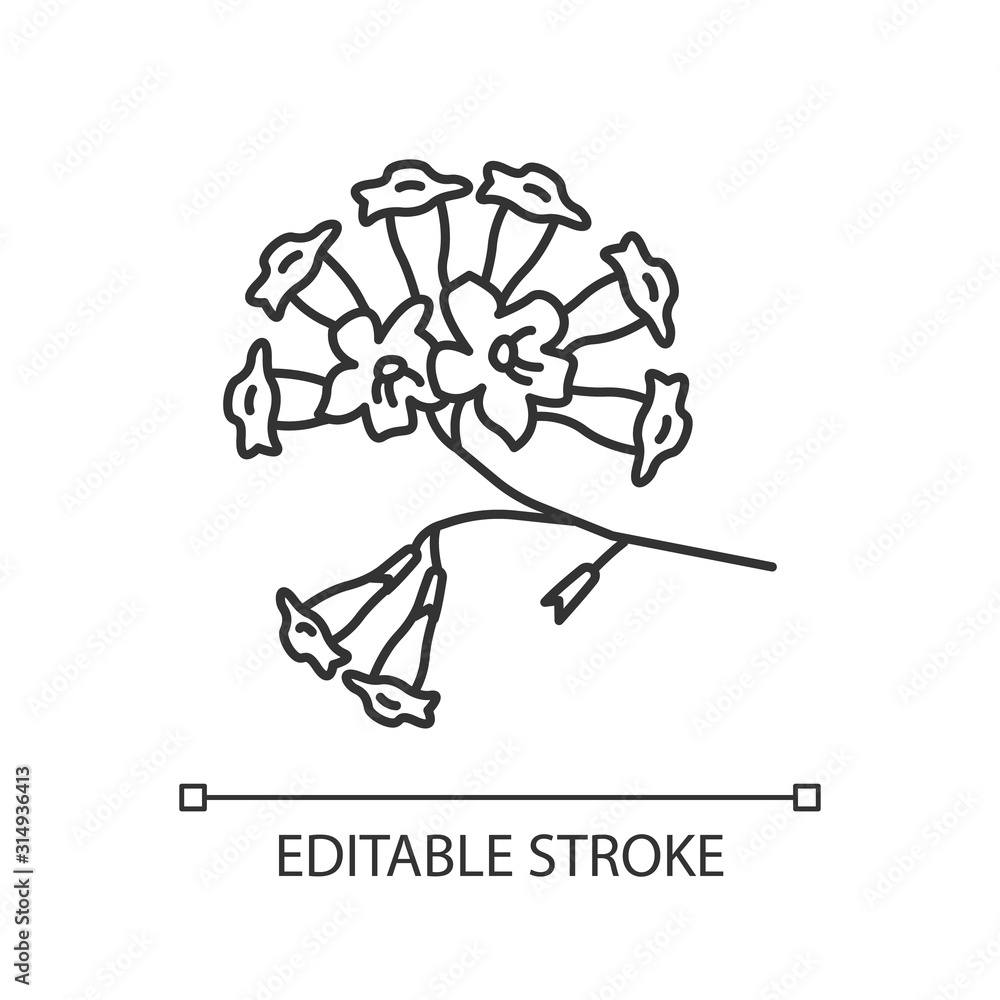 Plumeria pixel perfect linear icon. Ipe tree. Tropical blossom. Exotic ...