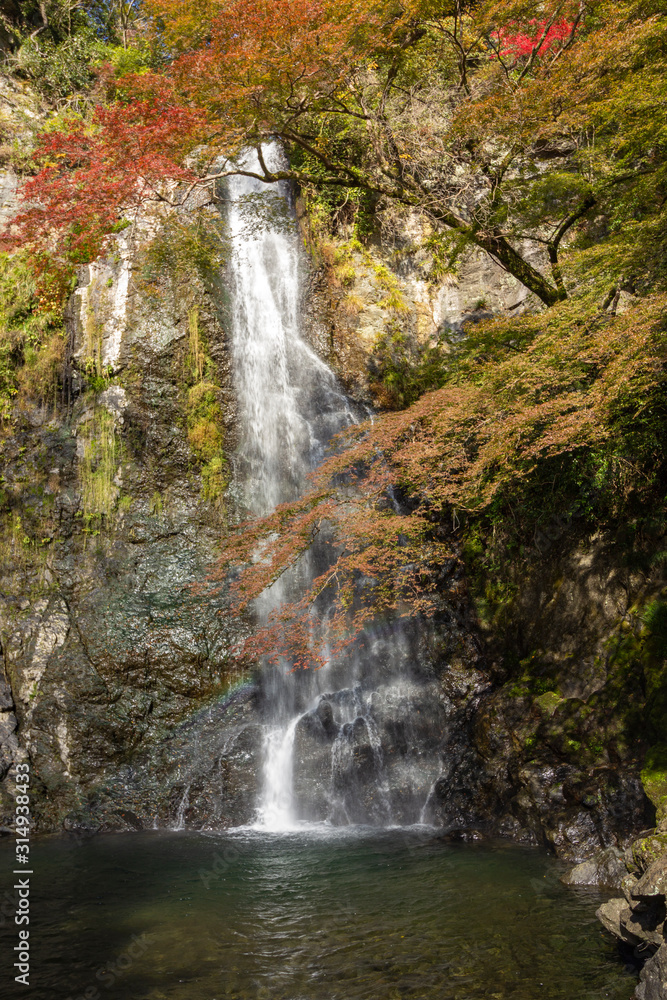 Fall colours in Minoo Forested Park and Waterfall, a spacious natural ...