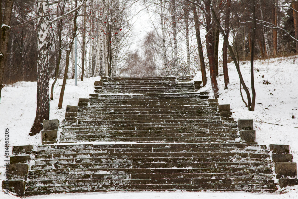 Stone steps of an old staircase in a winter park. A quiet, uninhabited ...