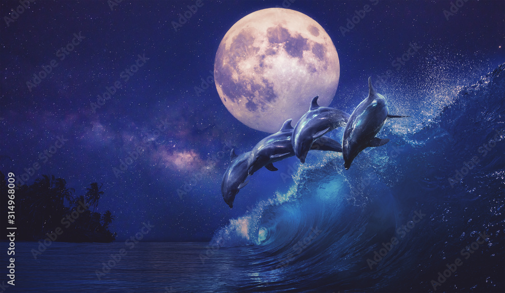 Beautiful night ocean with playful dolphins leaping on surfing wave and ...
