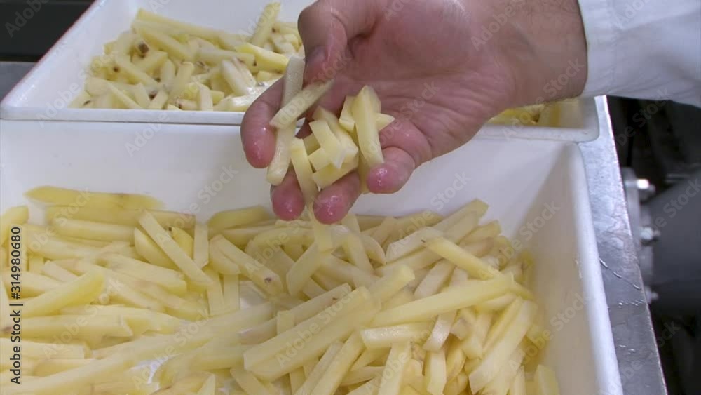 hand takes a sample of fries to check. examining french fries by hand ...
