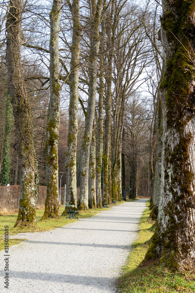Pathway Stock Photo | Adobe Stock