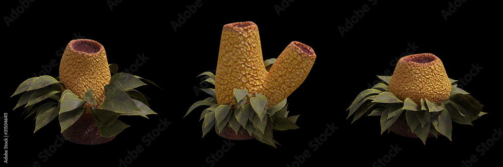 alien plant life, set of extraterrestrial flora isolated on black ...