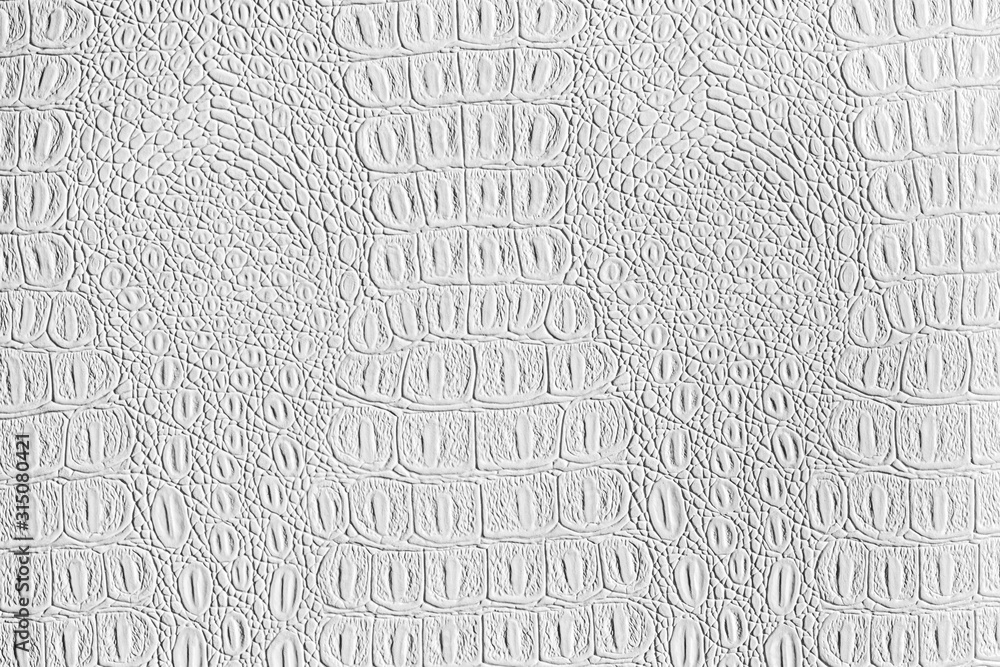 White crocodile leather texture. Abstract background for design with ...