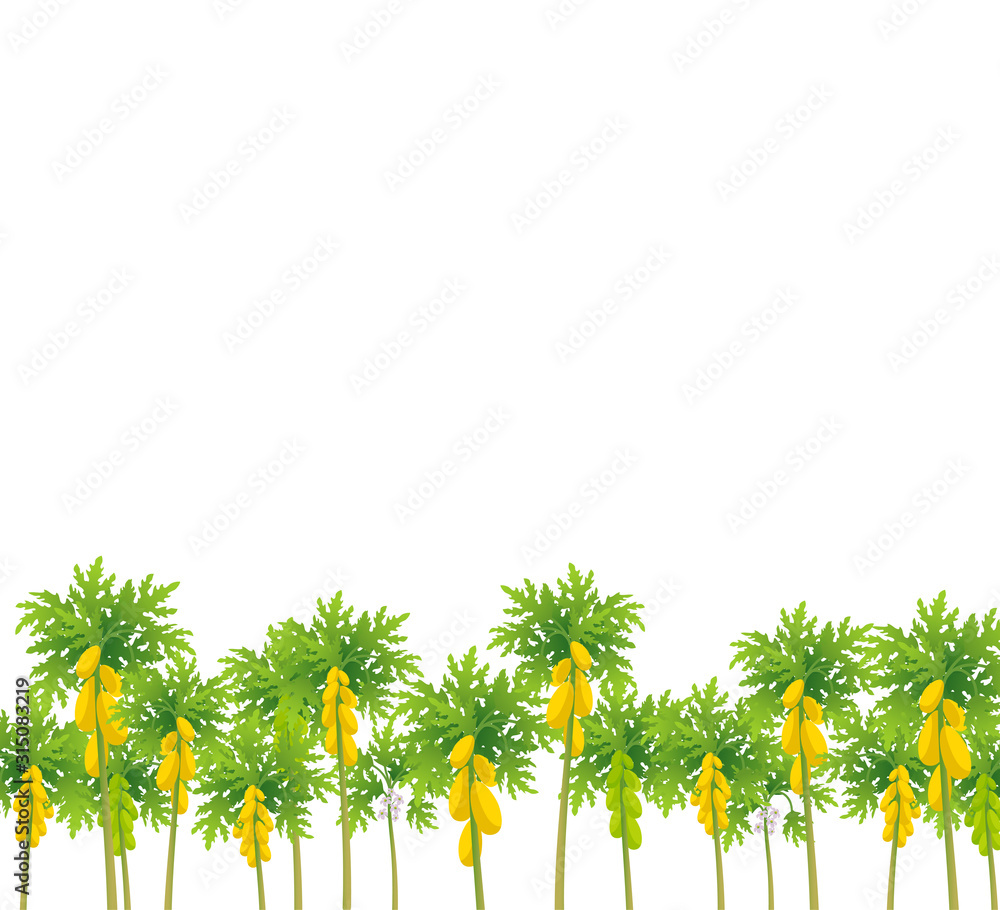 Papaya Tree Clip Art