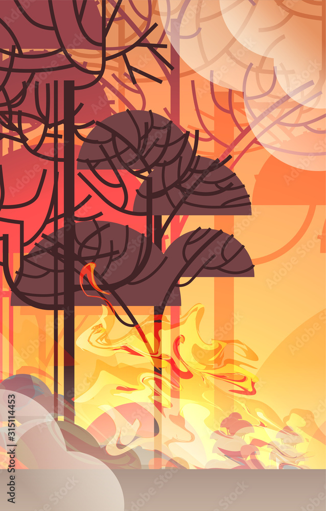 dangerous wildfire bush fire development dry woods burning trees global ...