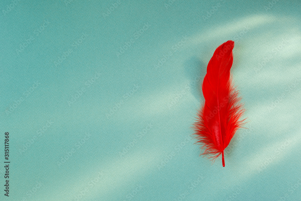 Single red feather on mint green background Stock Photo | Adobe Stock