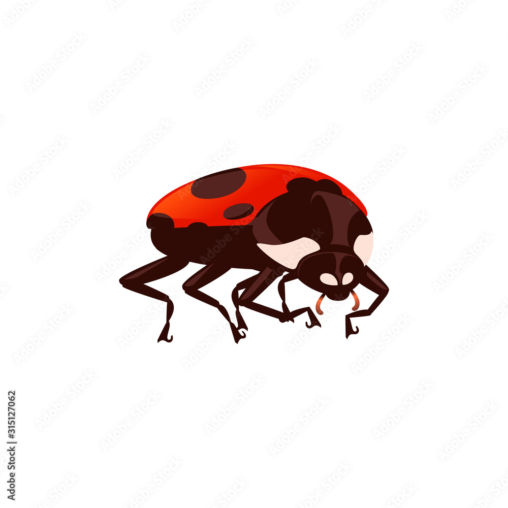 Ladybug with closed shell beetle cartoon bug design flat vector ...