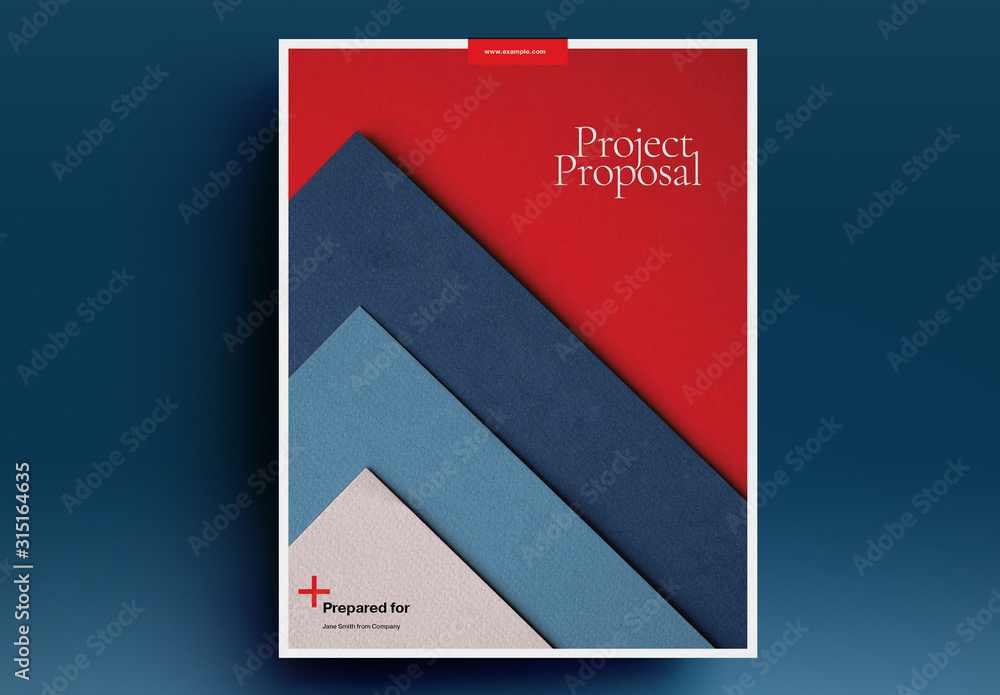 Project Proposal Layout Stock Template | Adobe Stock