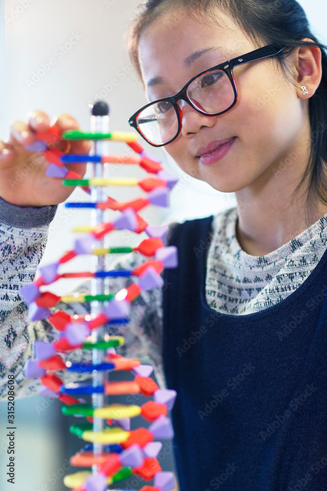 Girl student examining DNA model in classroom Stock Photo | Adobe Stock