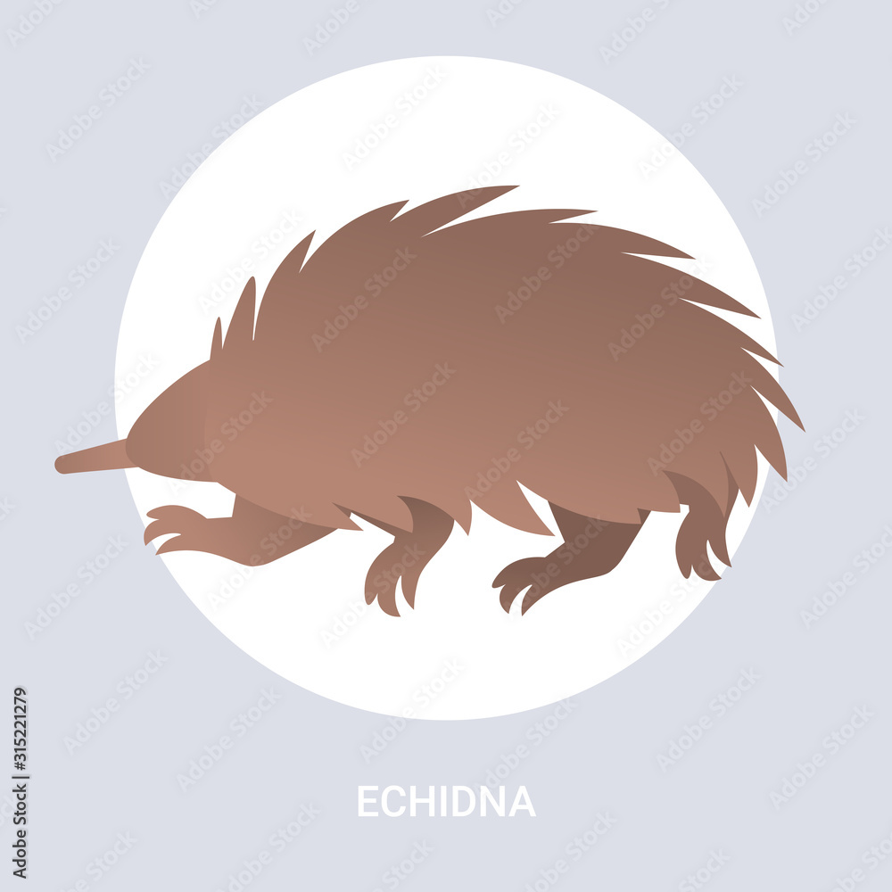 echidna icon cartoon endangered wild australian animal symbol wildlife ...