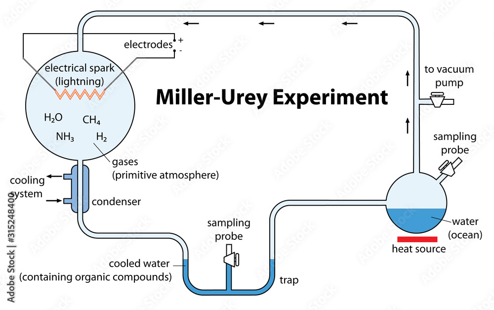 diagram of the miller-urey experiment Stock Vector | Adobe Stock