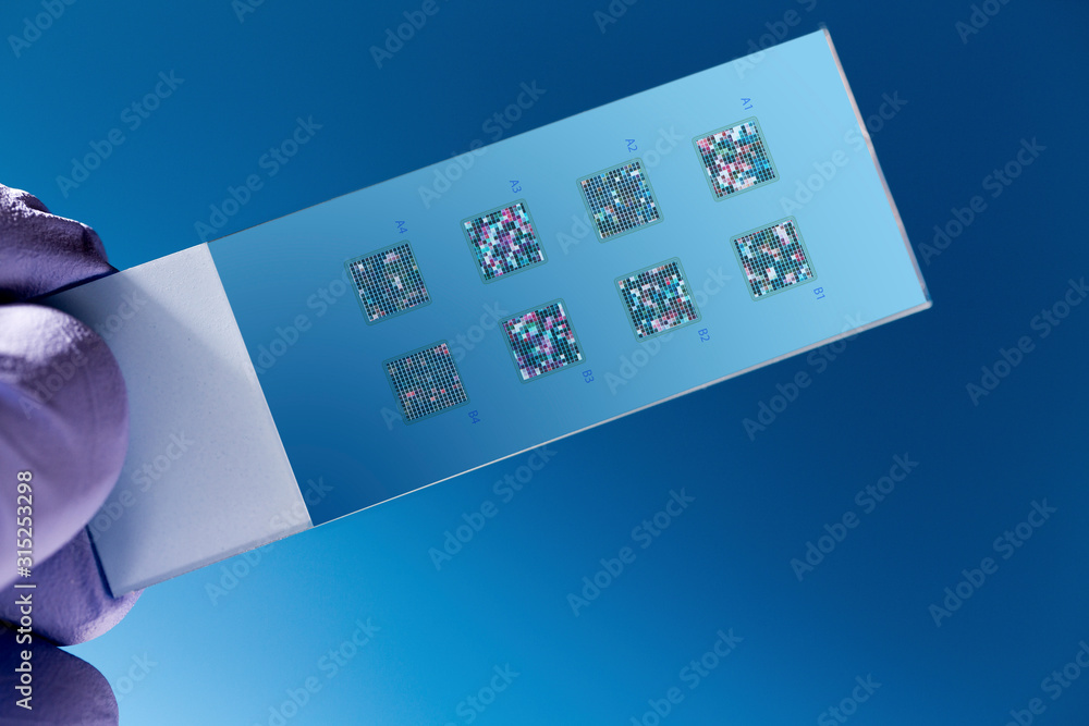 dna biochip Stock Photo | Adobe Stock