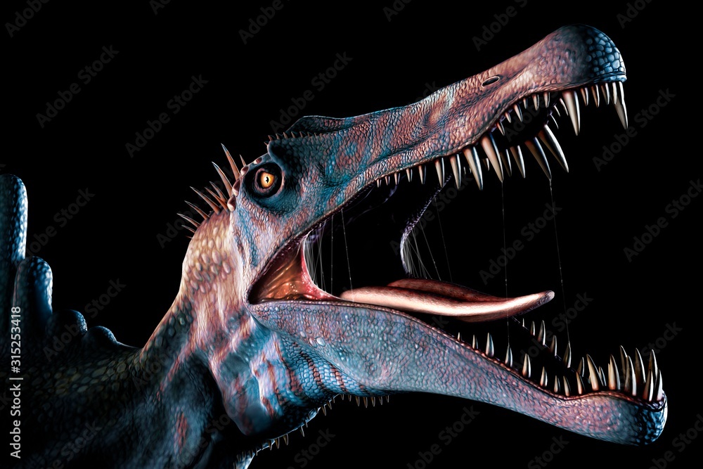 Spinosaurus Head Study Stock Photo | Adobe Stock