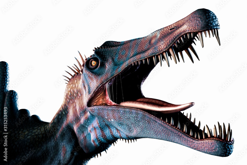 Spinosaurus Head Study Stock Photo | Adobe Stock