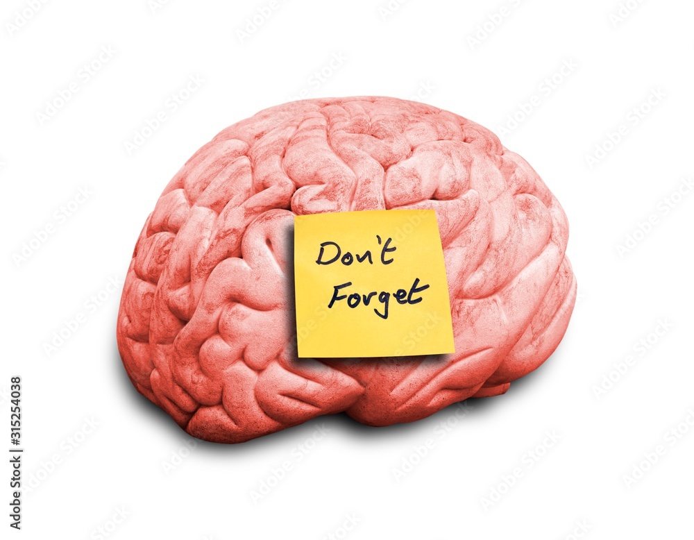 Human brain with an adhesive note Stock Photo | Adobe Stock