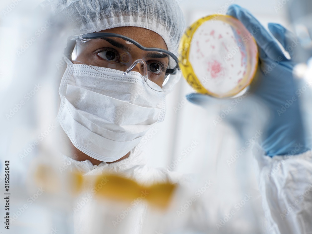 Microbiology Stock Photo | Adobe Stock