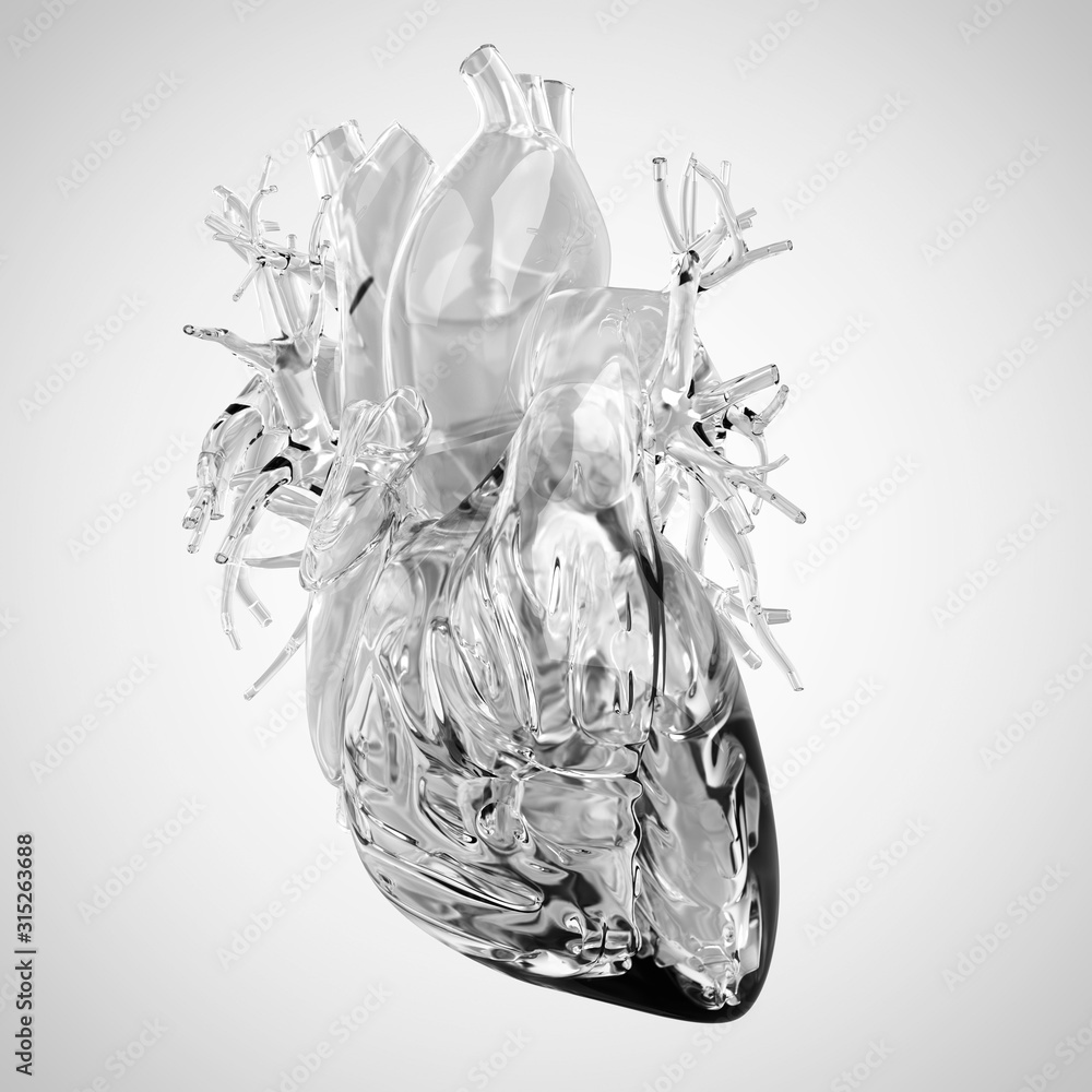 Human heart rendered in glass Stock Photo | Adobe Stock