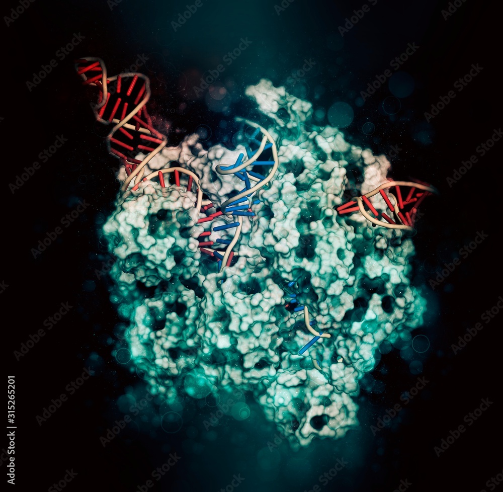CRISPR-CAS9 gene editing, illustration Stock Photo | Adobe Stock