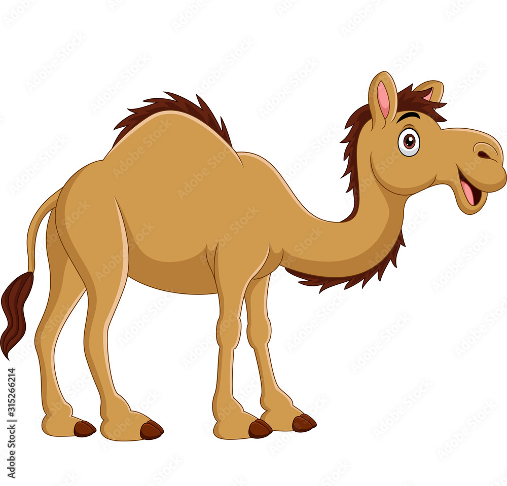 Cartoon camel isolated on white background Stock Vector | Adobe Stock