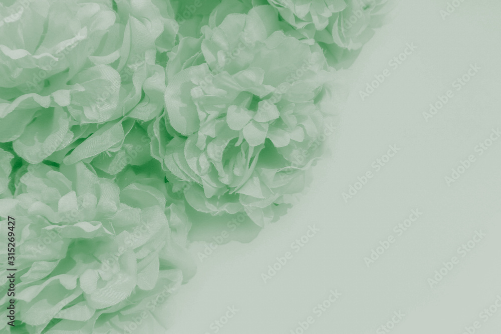Light Green Flower Background