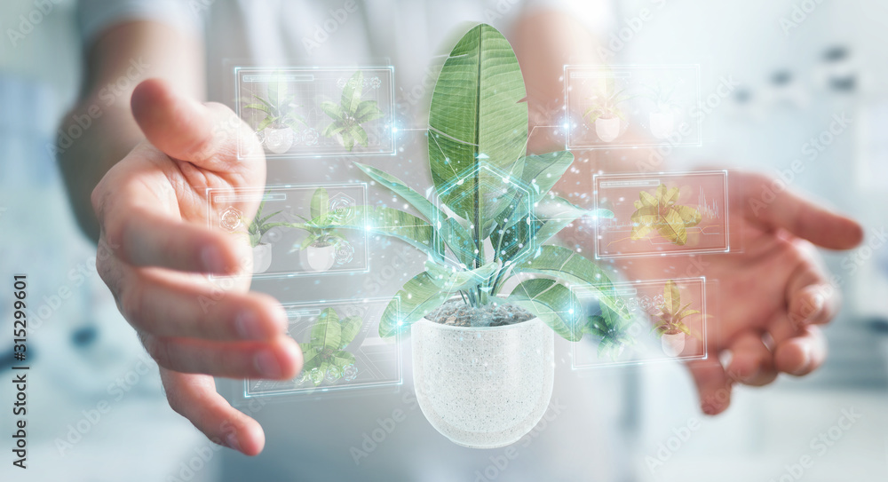 Man holding and touching holographic projection of a plant with digital ...