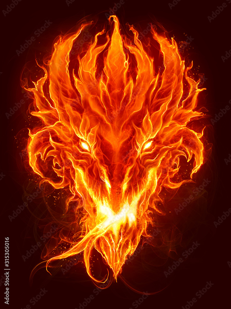 Flame dragon head Stock Illustration | Adobe Stock