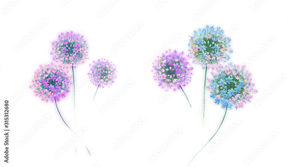 Computer drawn flower illustration，Watercolor flowers.Flowers ...