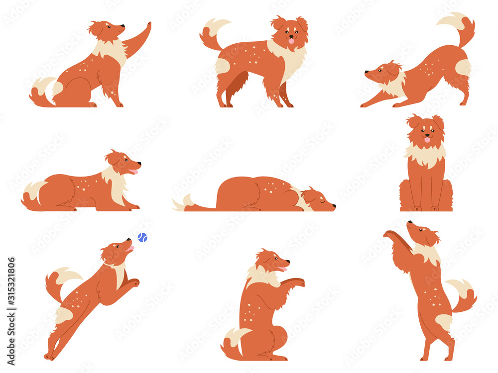 Dog movement. Funny dogs activities, cute animal character in various ...