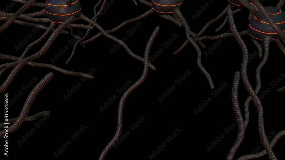 A perfectly synchronized dance of neurons in the human brain - seamless ...