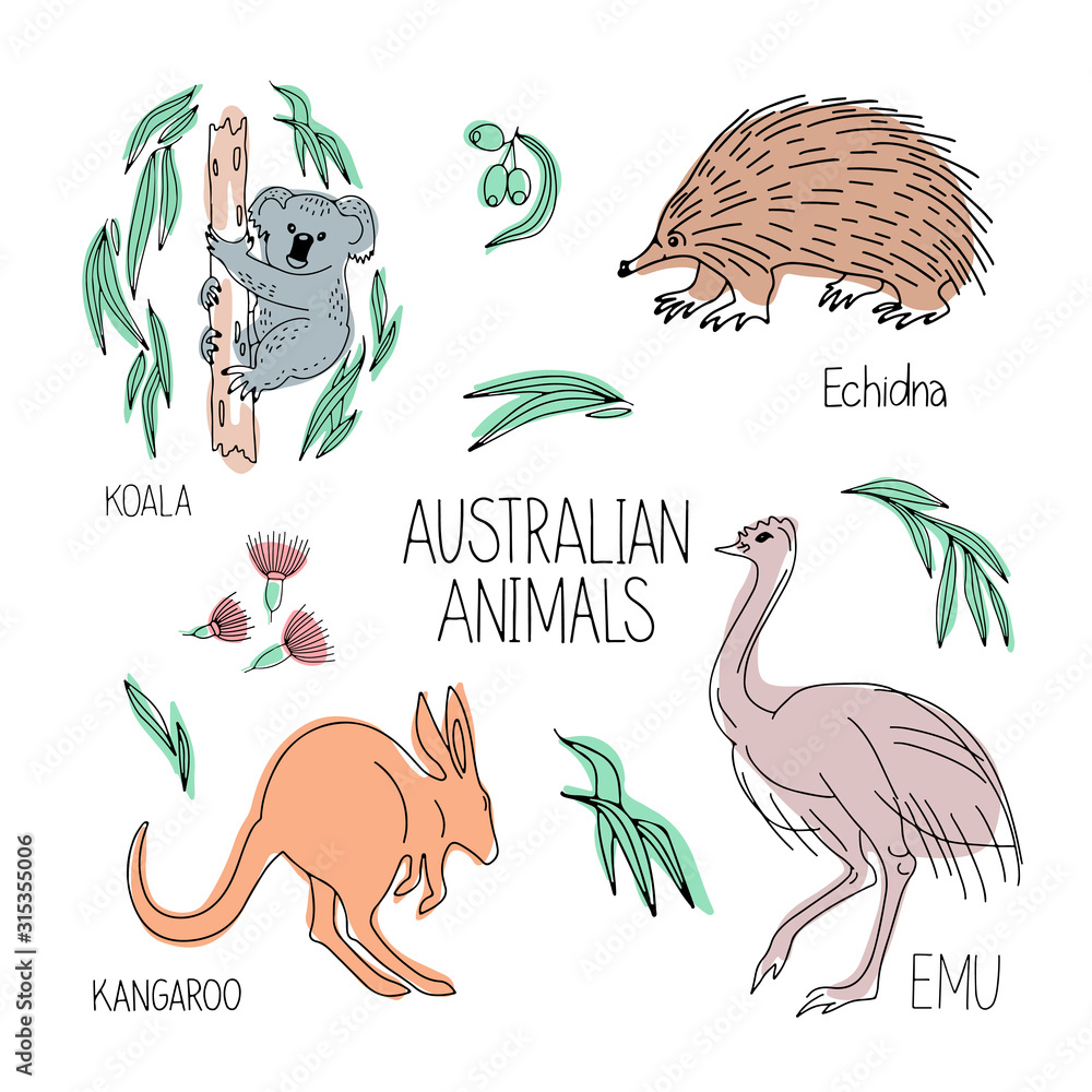 Hand drawn vector illustration animal of Australia echidna, kangaroo ...