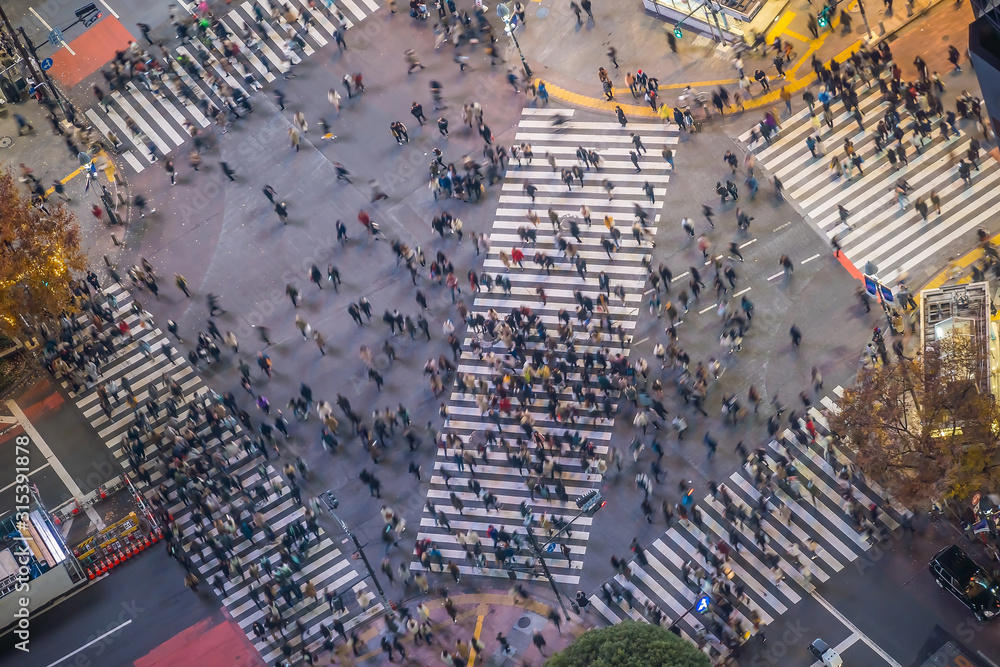 Shibuya Crossing from top view at night in Tokyo Stock Photo | Adobe Stock