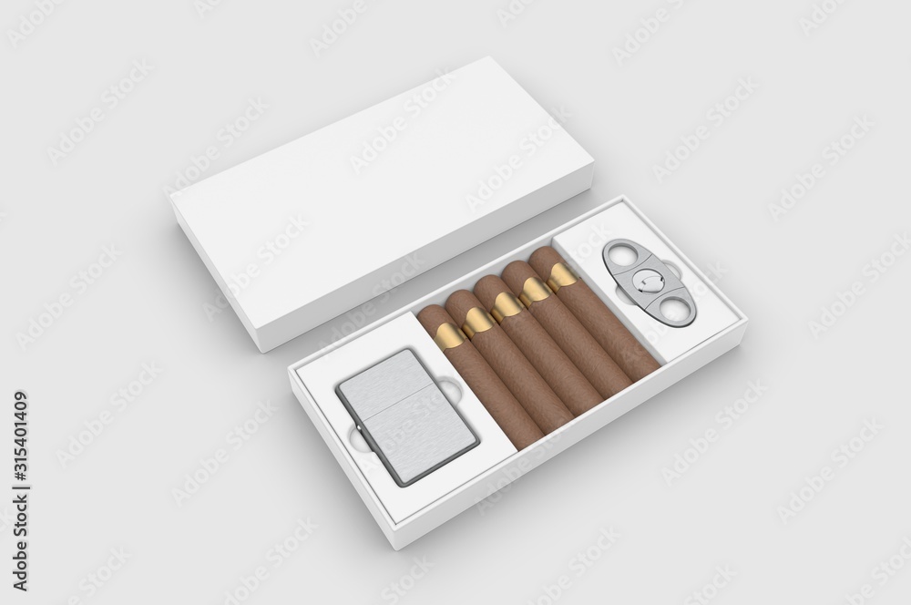 Blank cigars, lighter and cigar cutter in hard paper box template for ...