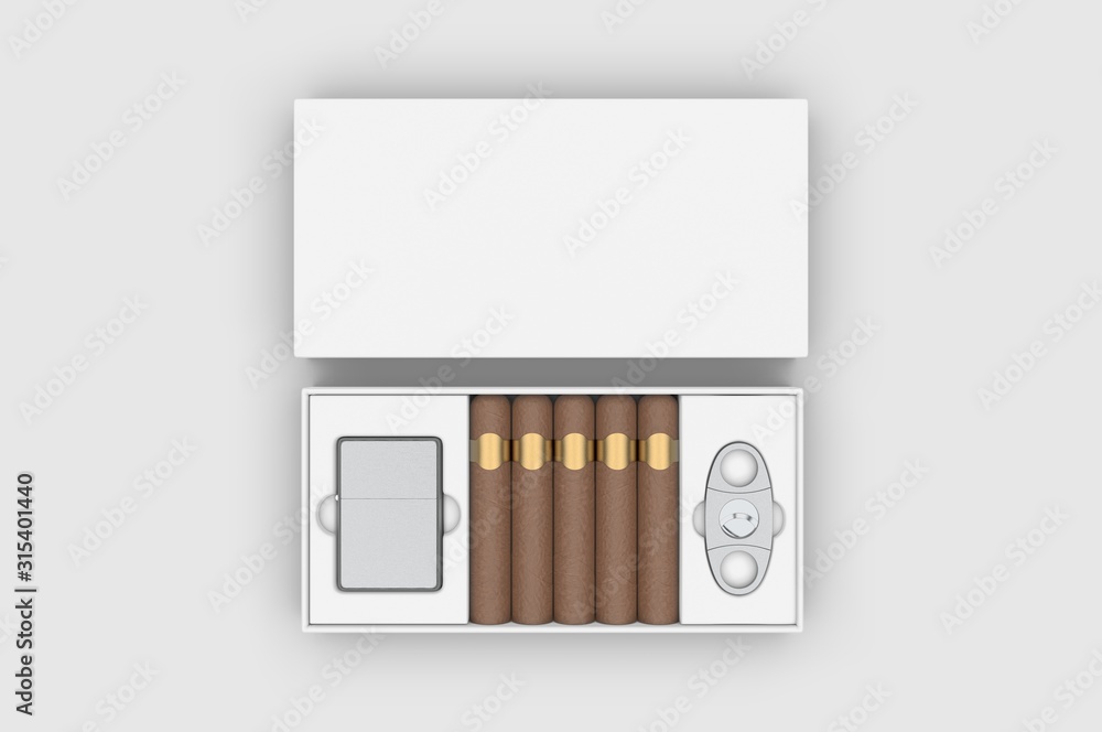Blank cigars, lighter and cigar cutter in hard paper box template for ...