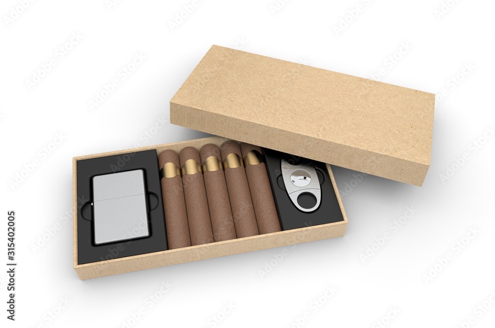 Blank cigars, lighter and cigar cutter in hard paper box template for ...