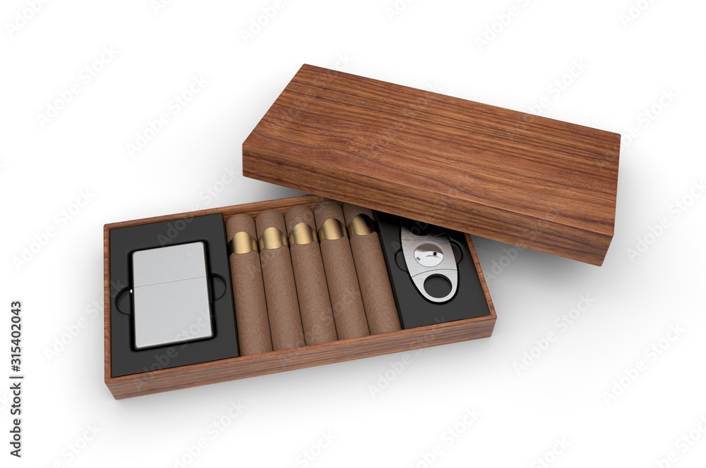 Blank cigars, lighter and cigar cutter in hard paper box template for ...