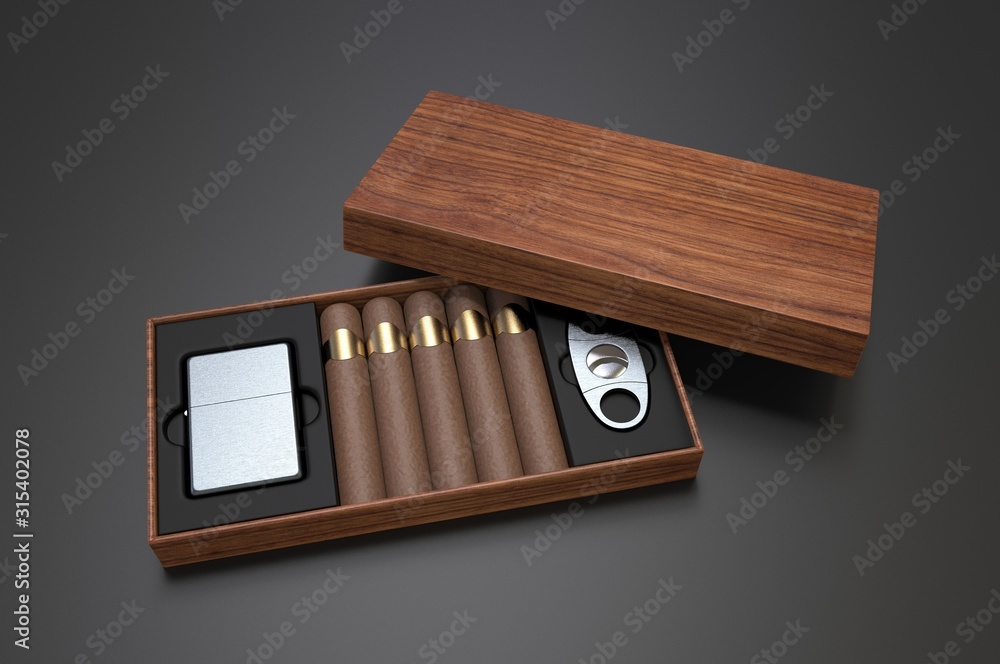 Blank cigars, lighter and cigar cutter in hard paper box template for ...