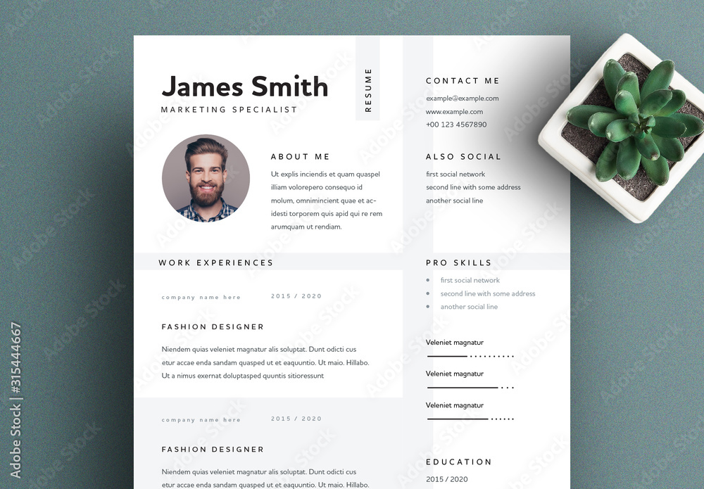 Resume Layout with Minimalistic Design and Grey Accents Stock Template ...