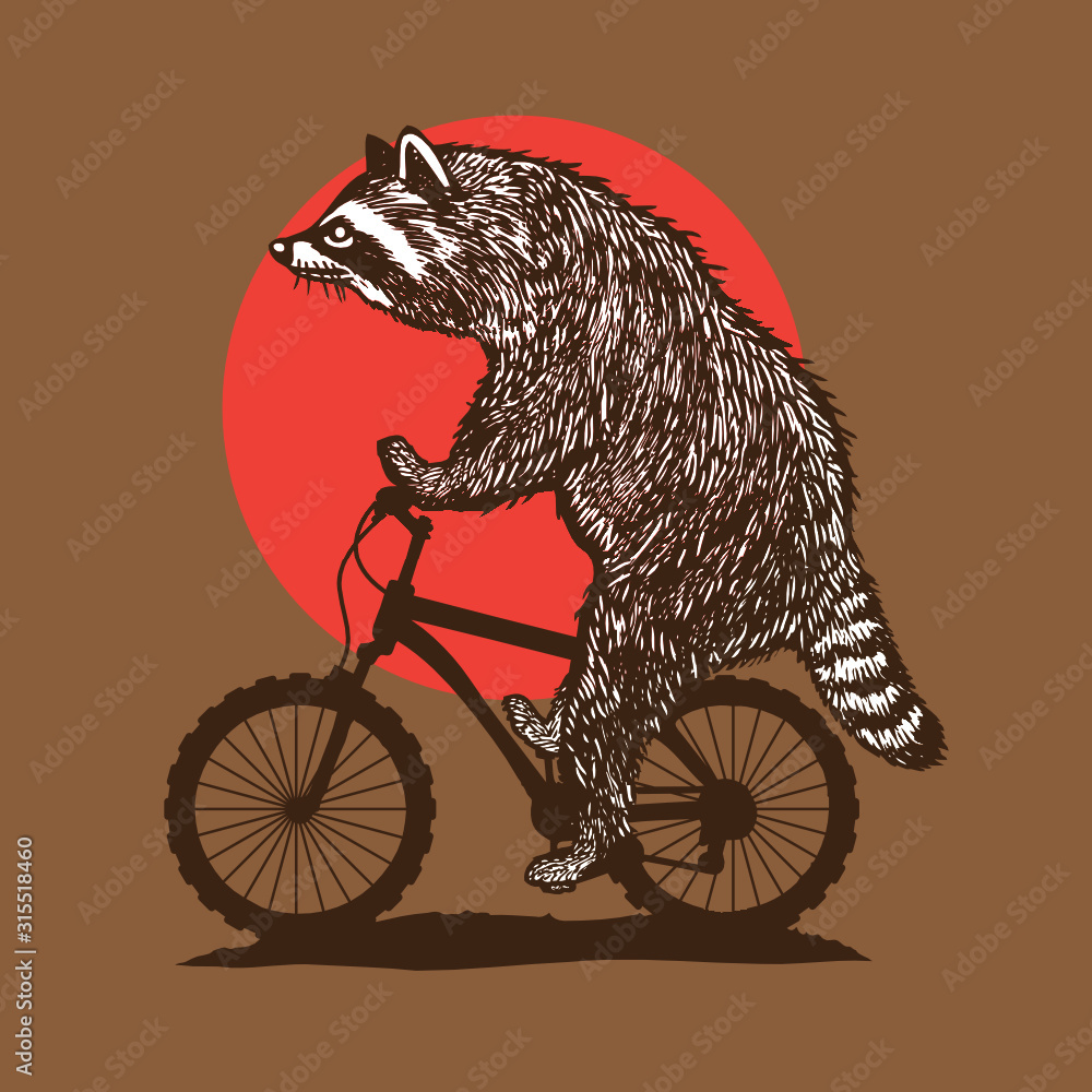 Racoon Riding Bike Stock Vector | Adobe Stock