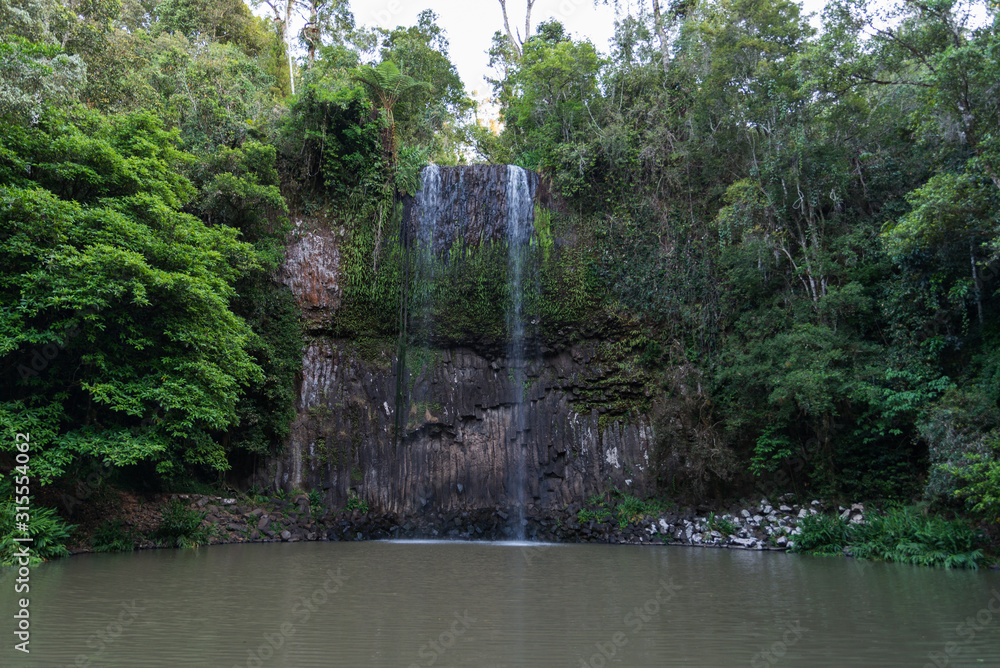 Foto de Milla Milla Waterfalls in Atherton Tabelands Rainforest Circuit ...