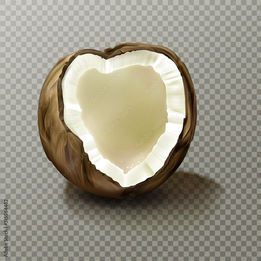 Realistic coconut, highly detailed empty cracked coco nut piece with ...