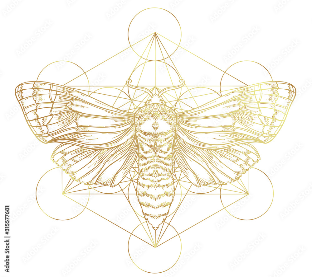 Golden moth over sacred geometry sign, isolated vector illustration ...