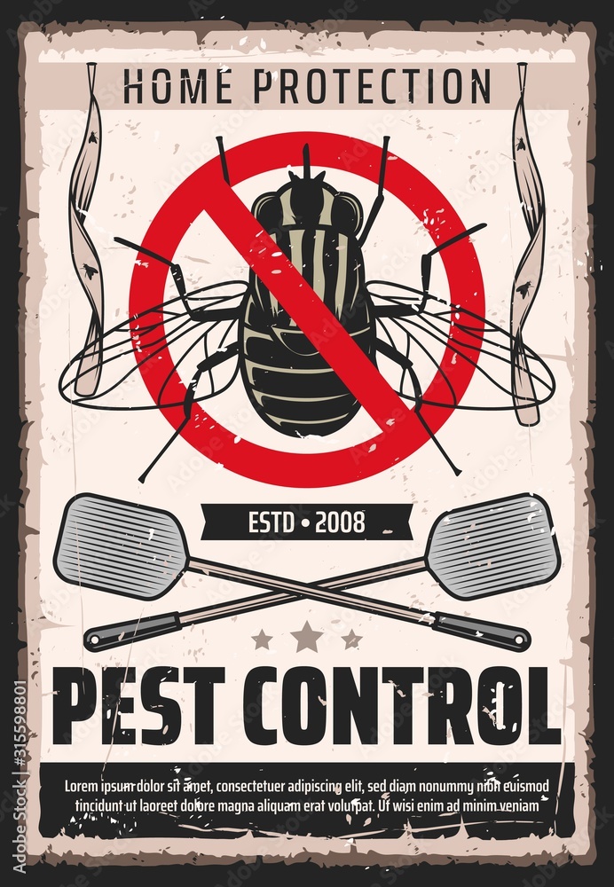 Fly insects pest control service, domestic bugs and moths extermination ...